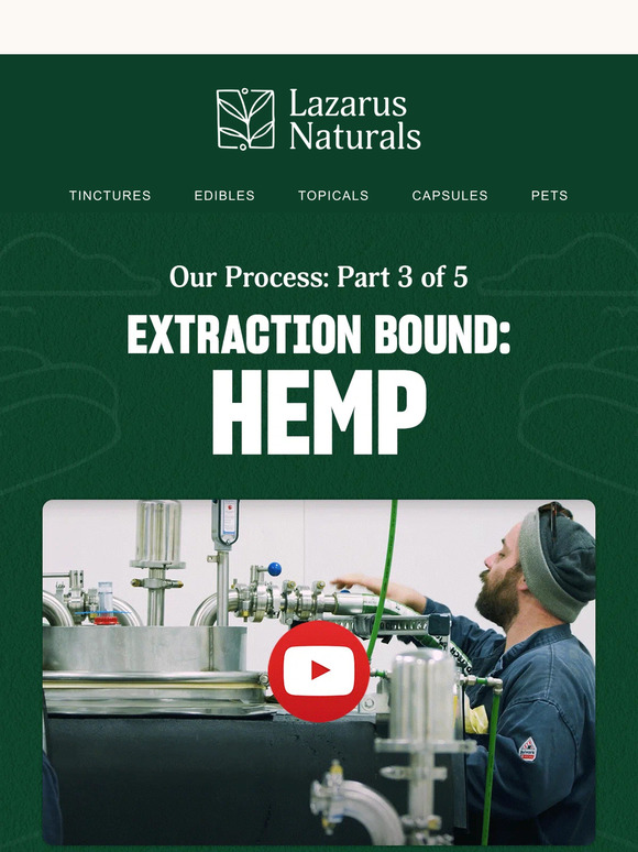 Lazarus Naturals: 🧪Did you know these extraction fun facts? | Milled