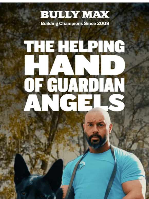 Bully Max: Even Guardian Angels are Bully Max fans! | Milled