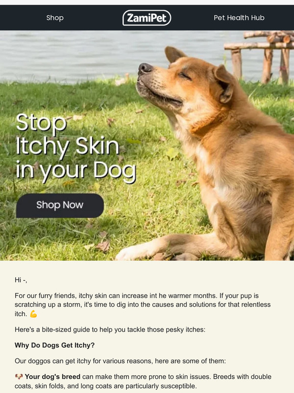 ZamiPet: Prevent and Treat Itchy Skin & Paws in your dog | Milled