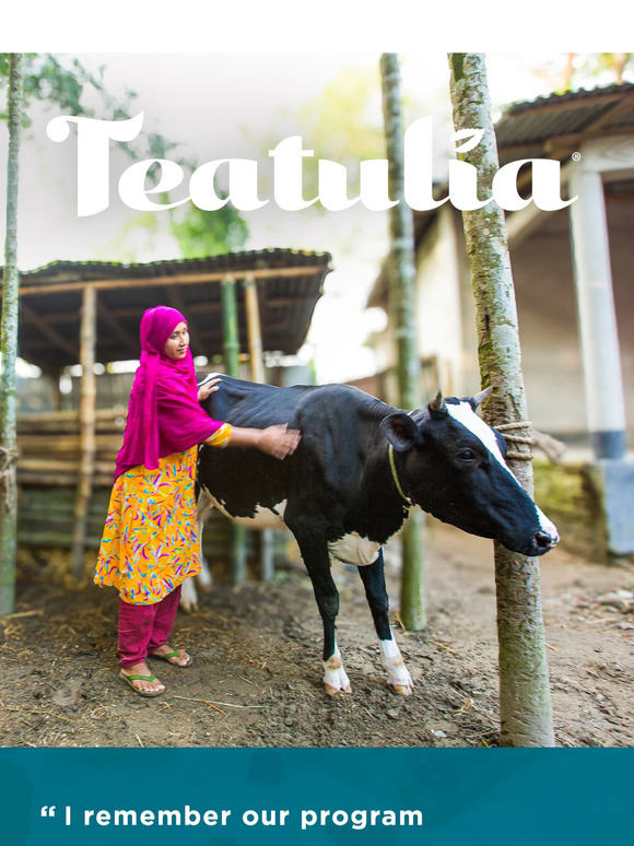 Teatulia: Cows > Husbands | Milled