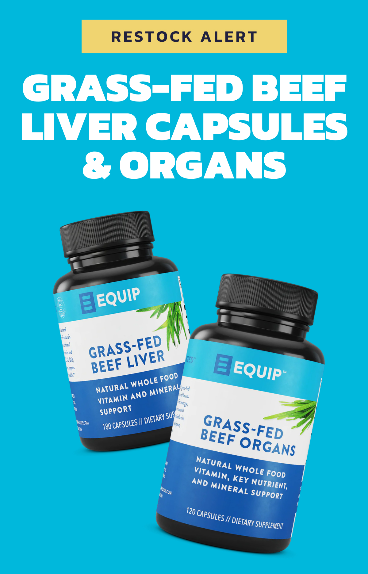 Equip Foods: RESTOCKED: Grass-Fed Beef Liver Capsules & Organs! | Milled