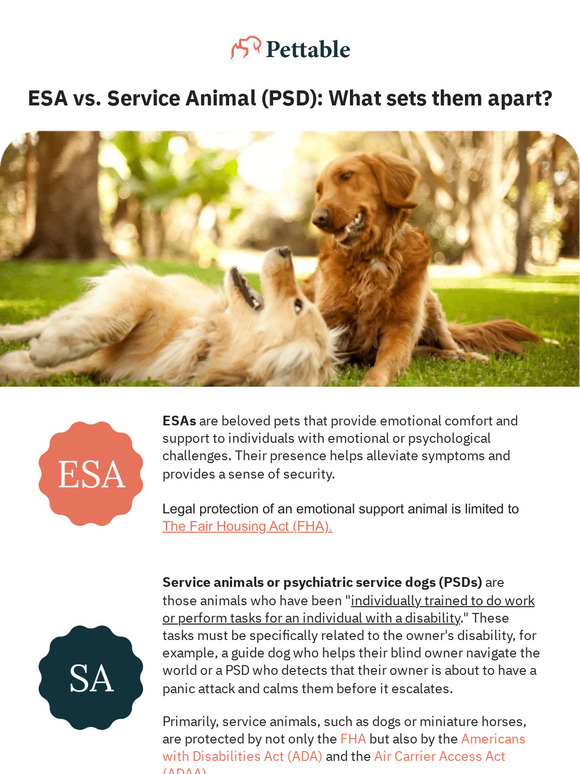 Pettable: ESA vs. Service Animal | Milled