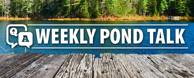 The Pond Guy: Weekly Pond Talk - How to Build a Lakefront Beach ...