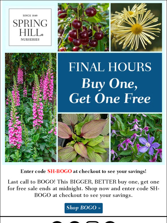Spring Hill Nursery: Better BOGO before it’s gone... | Milled