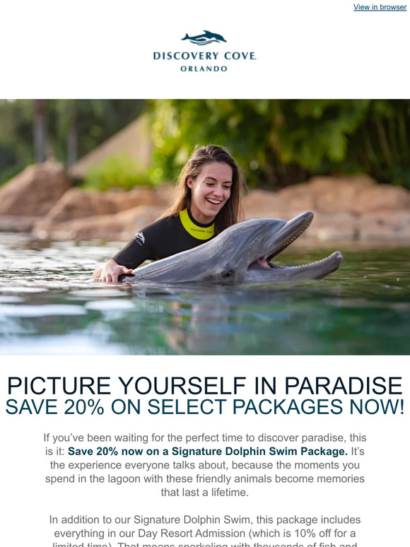 SeaWorld: Book Today: Save 20% on a Signature Dolphin Swim Package | Milled