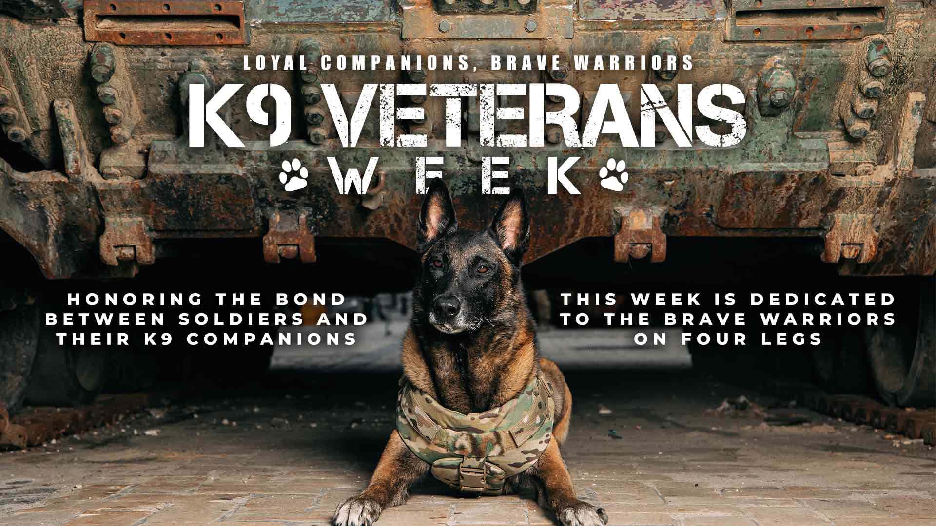 Bottle Breacher: 🎖️ Honor K9 Veterans Week with Exclusive Limited-Edition Breachers 🐾 | Milled