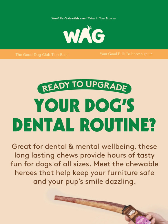 WAG: 🐕🤤 Meet the G.O.A.T’s of Doggo Dental Health 🦷 | Milled