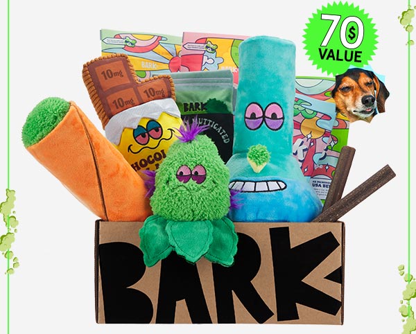BarkBox: They're baaaack! Be the first to score BARK's dopest upgrade 🪴 | Milled