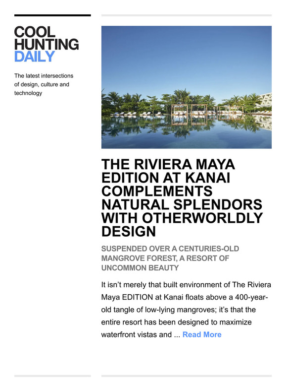 Cool Hunting People: Suspended over a centuries-old mangrove forest in ...