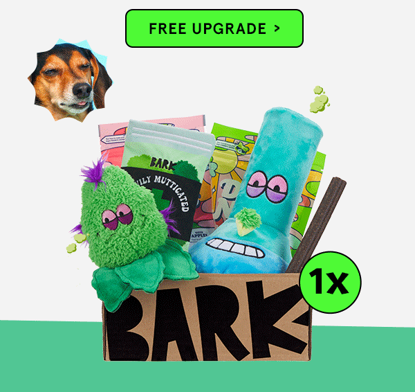 BarkBox: YOUR DOG'S FREE UPGRADE: 4 totally lit toys + 4 bags of dank treats | Milled