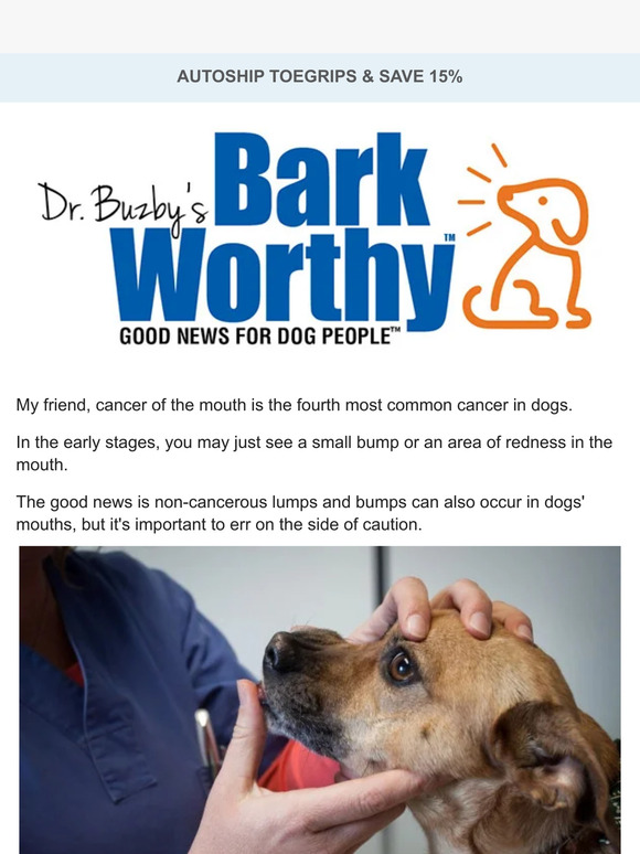 Dr. Buzby's ToeGrips: The 4th most common cancer in dogs | Milled
