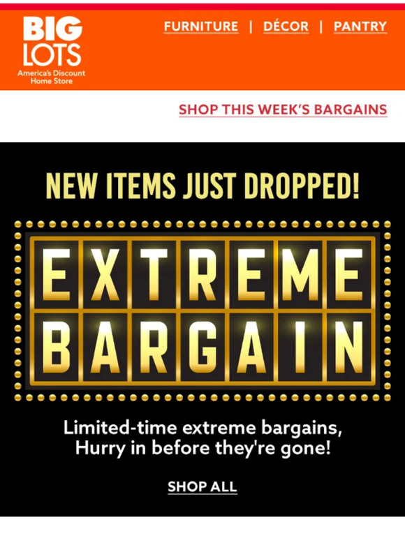 Big Lots: New Extreme Bargains are here! 🎉 | Milled