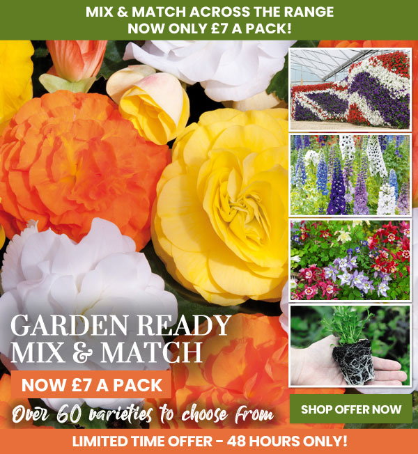 Dobies: 15 Garden Ready Plants ONLY £7 A Pack! Mix & Match Special | Milled