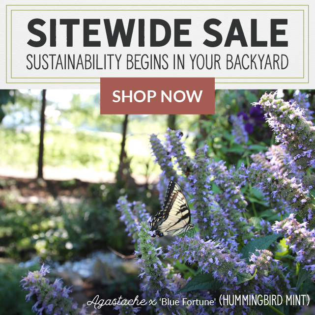 High Country Gardens: Sitewide Sale: Sustainability Begins In Your ...