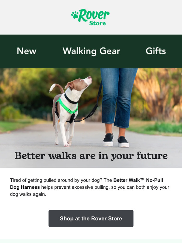 Rover: Your fave no-pull harness—shop now at the Rover Store | Milled