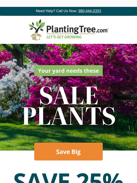 PlantingTree.com: Fruit trees, privacy trees, shrubs & hedges... | Milled