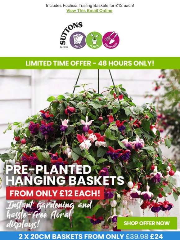 Suttons Seeds: Pre-Planted Hanging Baskets ONLY £12 EACH! 48 HOURS ONLY ...