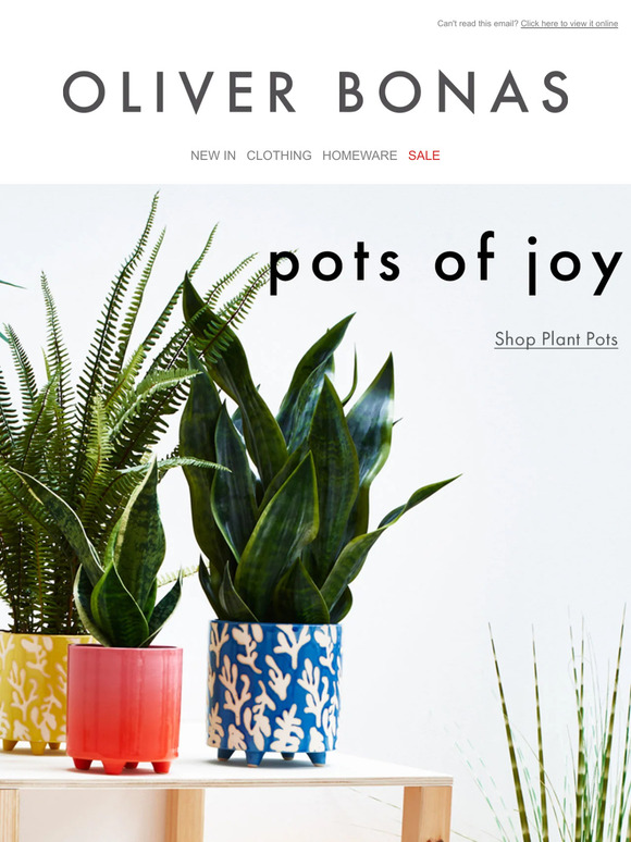 Oliver Bonas: Pick the perfect pot for your plant | Milled