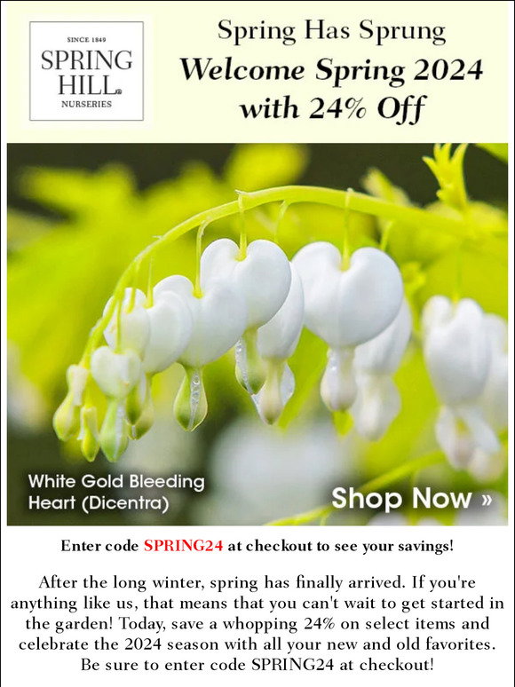 Spring Hill Nursery: Welcome Spring and Save - 24% Off for 2024 | Milled