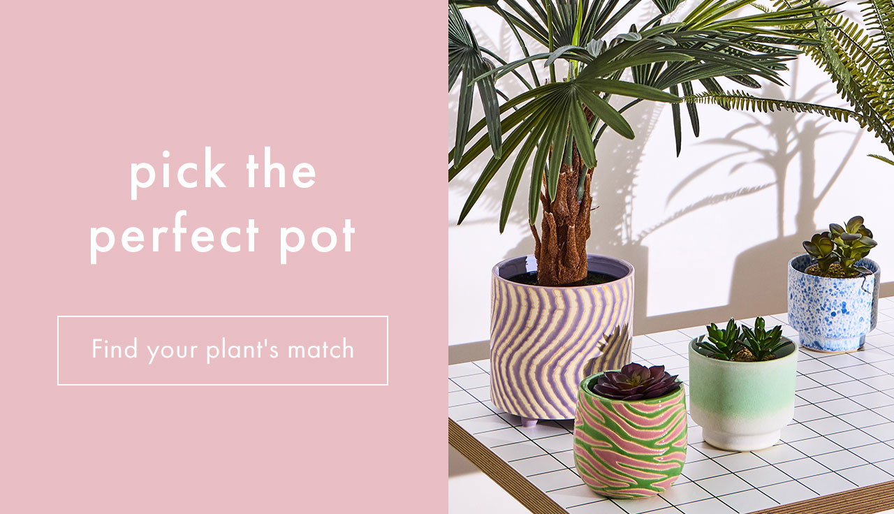 oliverbonas.com: Pick the perfect pot for your plant | Milled
