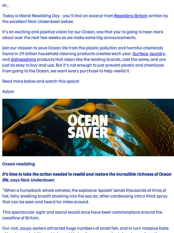 Ocean Saver: Rewilding the sea - it's happening! | Milled