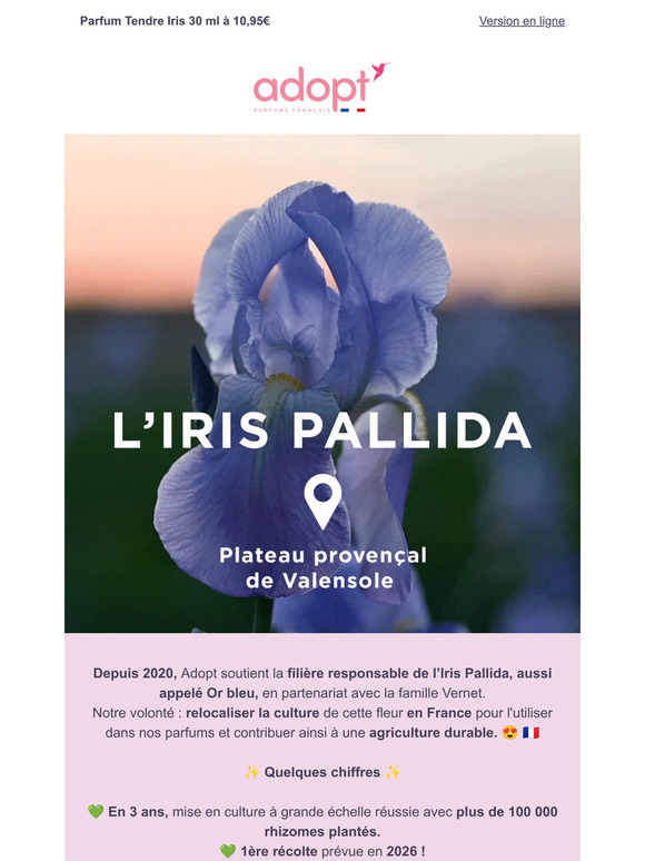 Adopt: Tout savoir sur notre programme Iris 💜 | Milled