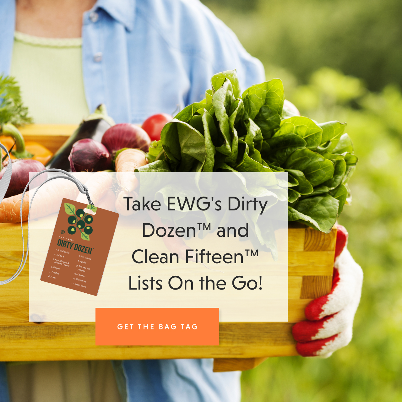 Environmental Working Group: EWG’s 2024 Dirty Dozen™ List | Milled