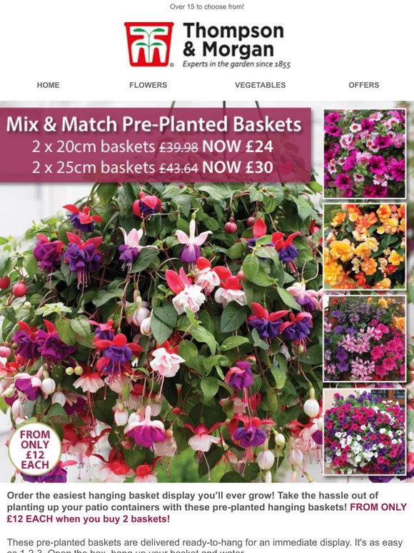 Thompson & Morgan: Pre-Planted Hanging Baskets ONLY £12 EACH! 48 HOURS ...