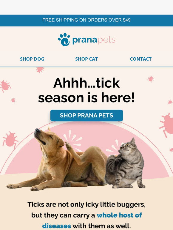 Prana Pets: Do you know how to spot a tick bite? 🔎 | Milled