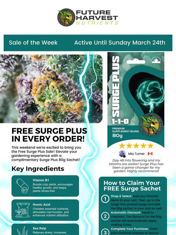 Future Harvest: FREE $25 Surge Plus Sachet with your next order! Only ...