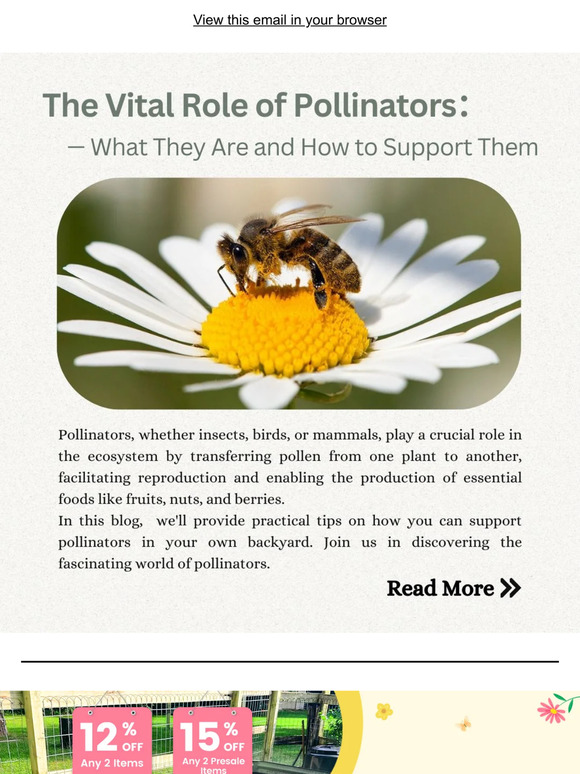 Savana Garden: Pollinators: What They Are and How to Support Them | Milled