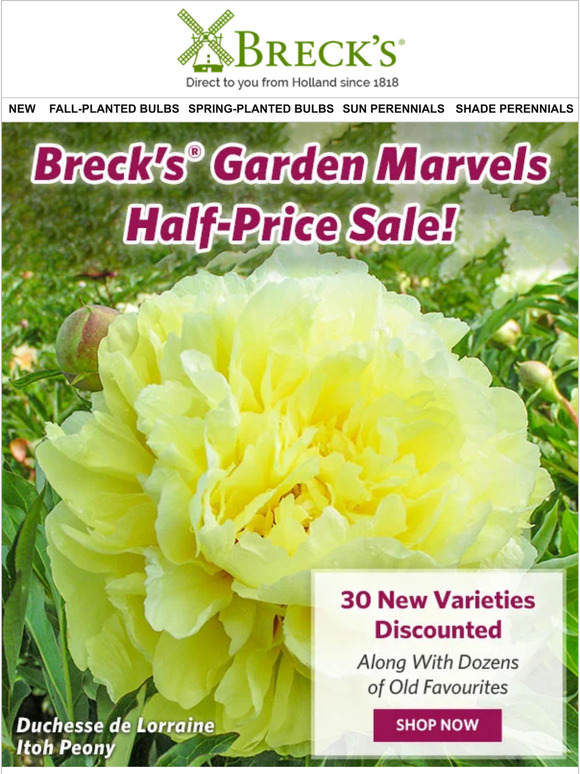 Breck's: They’re gorgeous! They’re spectacular! They’re Half Off! | Milled