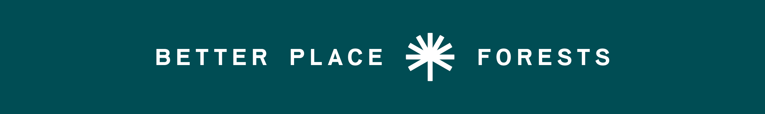 Better Place Forests: Living Urn vs. Memorial Tree - what’s the difference? 🌳 | Milled