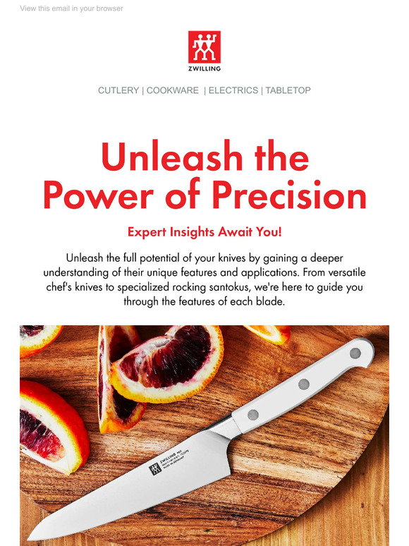 ZWILLING: Which knives should be a part of your kitchen? The answer is ...