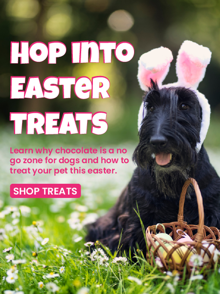 Vet Products Direct: Hop Into Easter Treats 🐰🥕 | Milled