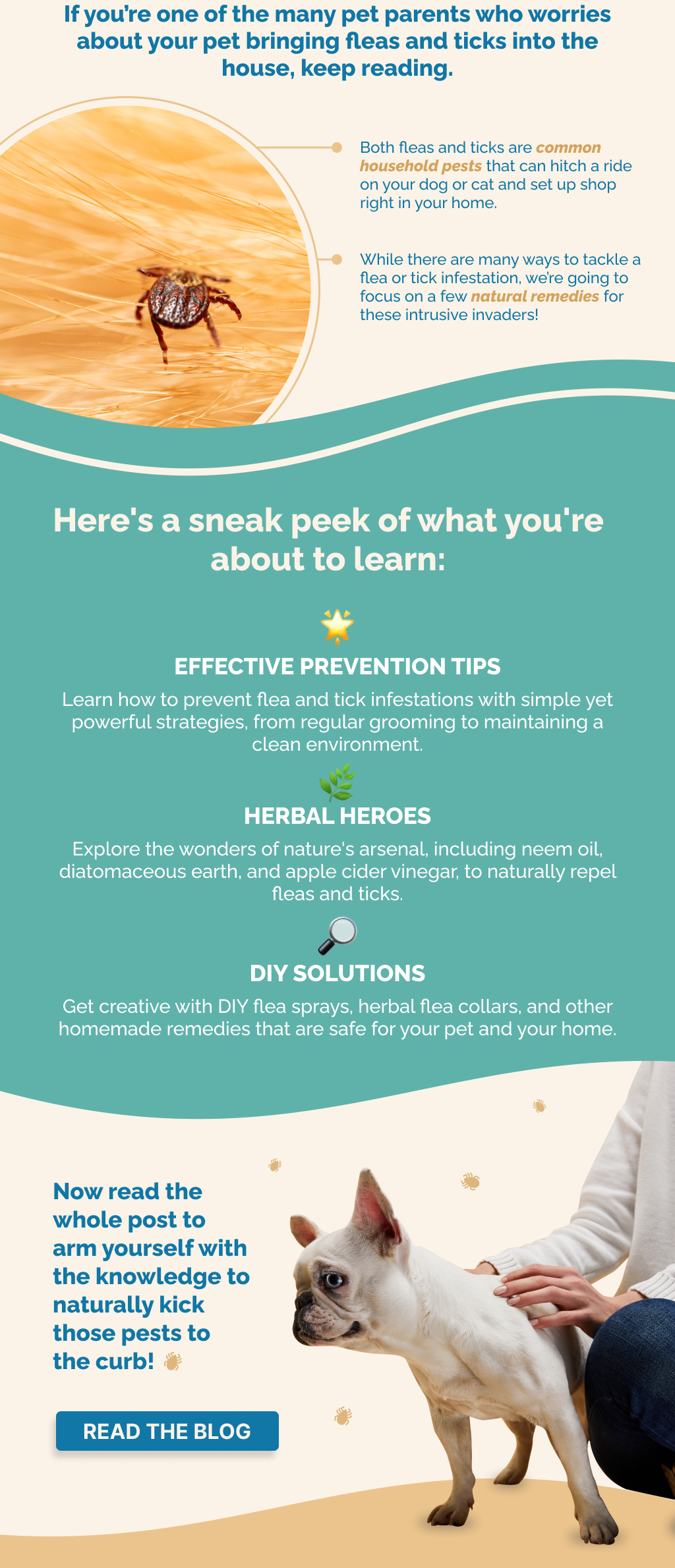 Prana Pets: 10 Natural Home Remedies for Fleas and Ticks 🌱 | Milled