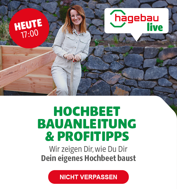 Hagebau: Hochbeet selber bauen? - Wir zeigen Dir live wie es geht! | Milled