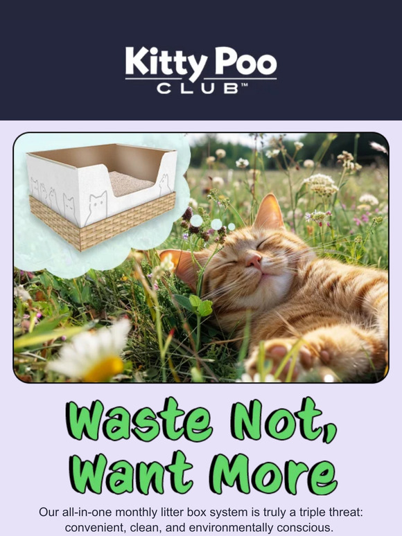 Kitty Poo Club: Daydreaming of the perfect litter box? 💭 | Milled