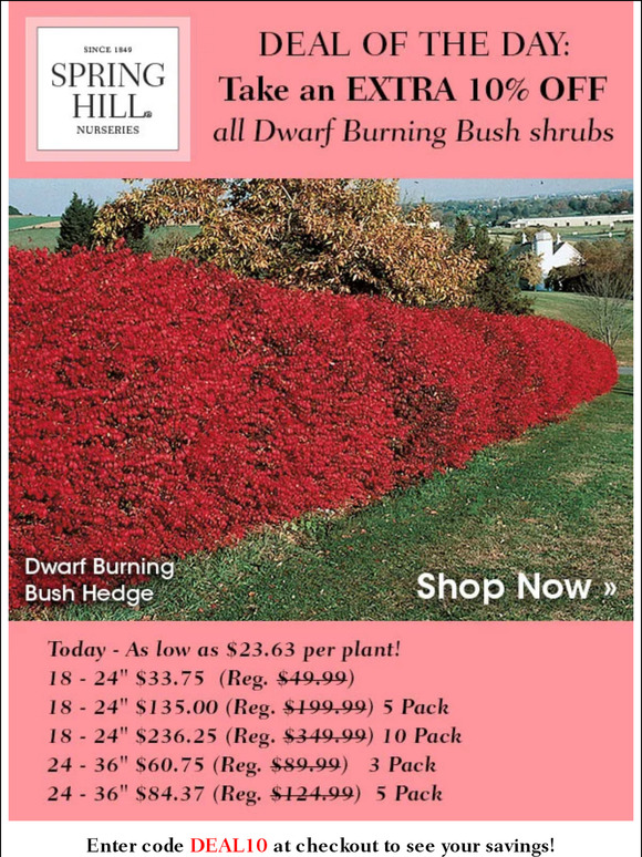 Spring Hill Nursery: Deal of the Day: Take an EXTRA 10% Off Dwarf ...