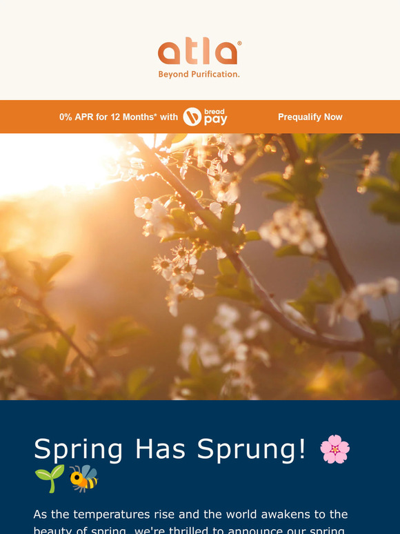 Atla Water: Crazy-Good Water for Less. Our Spring Sale Is On Now 🌷 | Milled