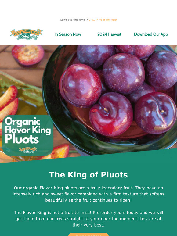 Frog Hollow Farm: The Legendary Flavor King! 😍 | Milled