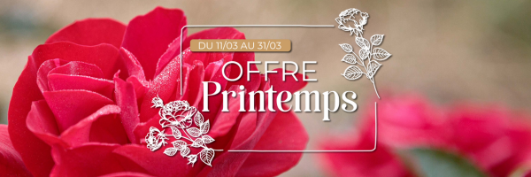 Meilland Richardier: DERNIERES HEURES de l'offre printemps ! | Milled
