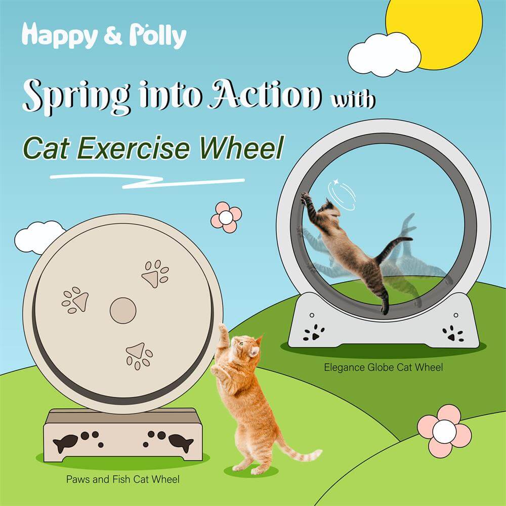 Happy & Polly: Get Your Paws Moving:🐾🌟 Paws and Fish Cat Wheels! 🐾 | Milled
