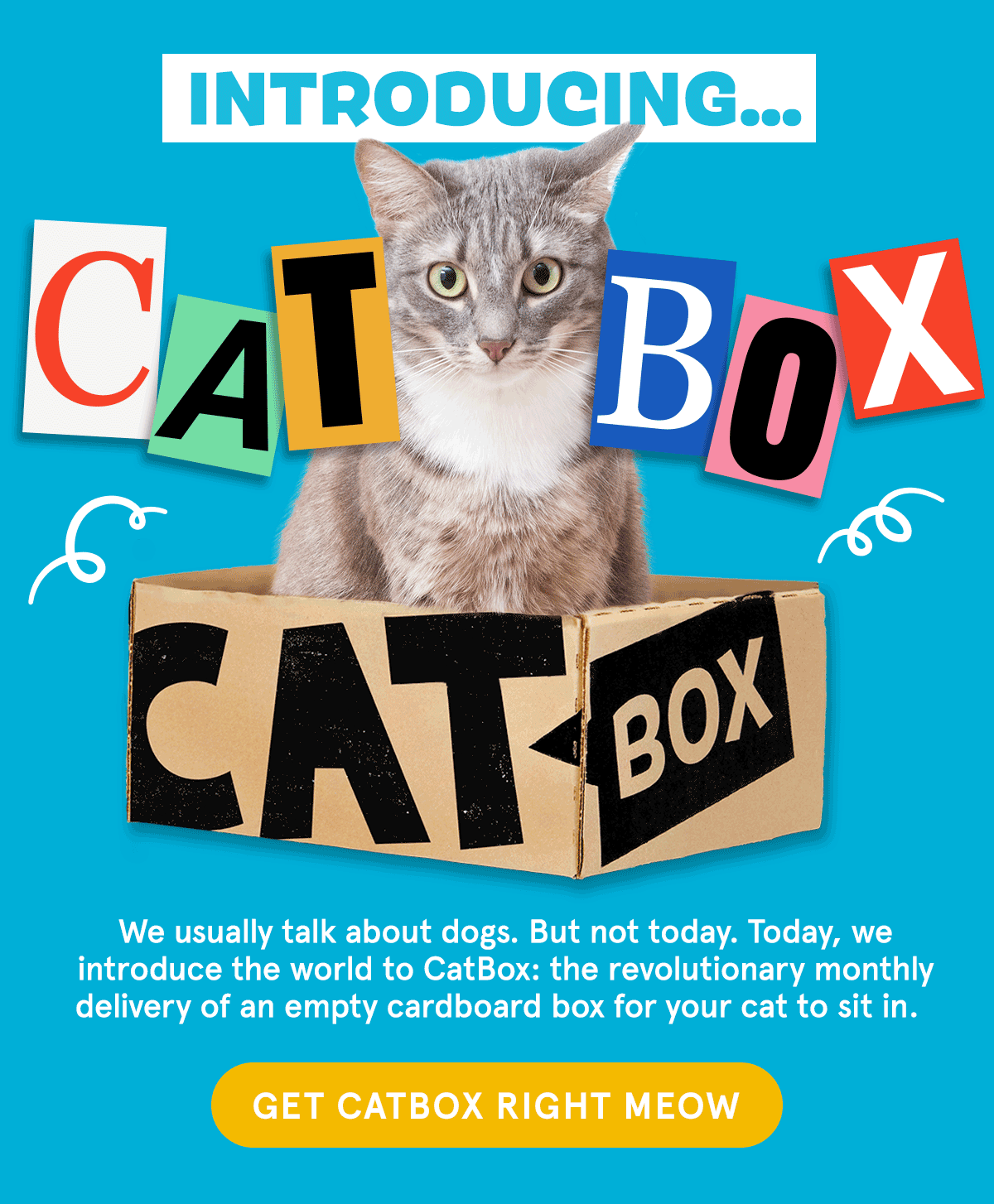 Bark: We now make stuff for cats. Welcome to CatBox. | Milled