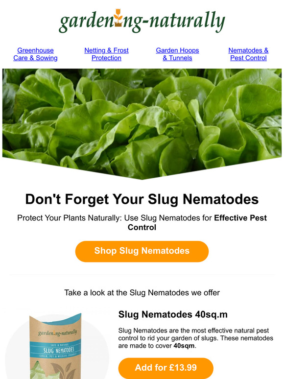 Gardening Naturally: 🐌 Supporting Your Garden Needs: Slug Nematodes in ...