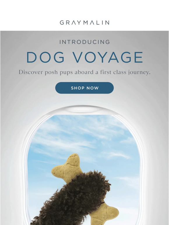 Gray Malin: New Dog Photography | Milled