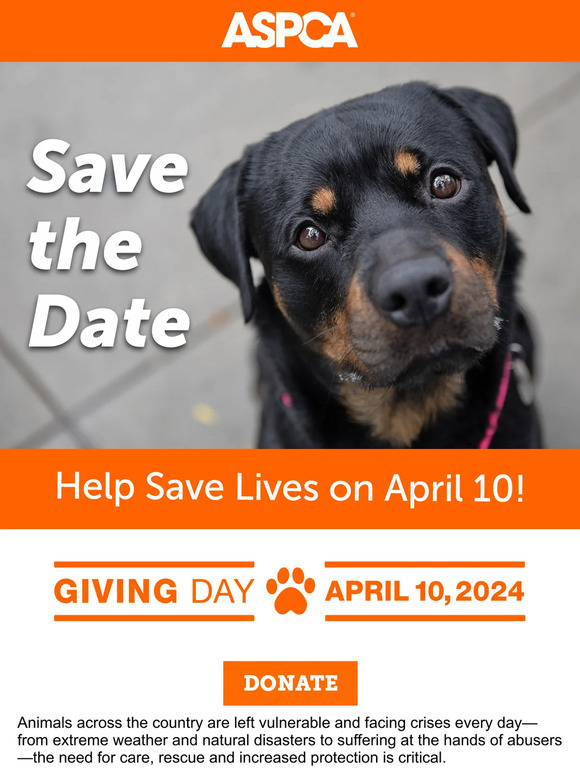 ASPCA: COMING SOON: Giving Day 2024 | Milled