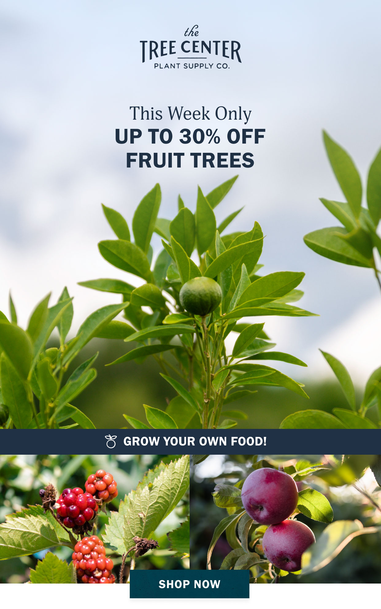 The Tree Center: Grow Your Own Food!🍎 Up To 30% OFF Fruit Trees and ...