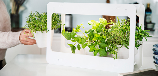 Historia: Saat 3 Tieteen Kuvalehti Historian numeroa ja ...