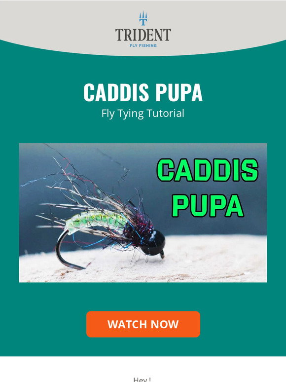 Trident Fly Fishing: How to Tie The Caddis Pupa Fly | Milled